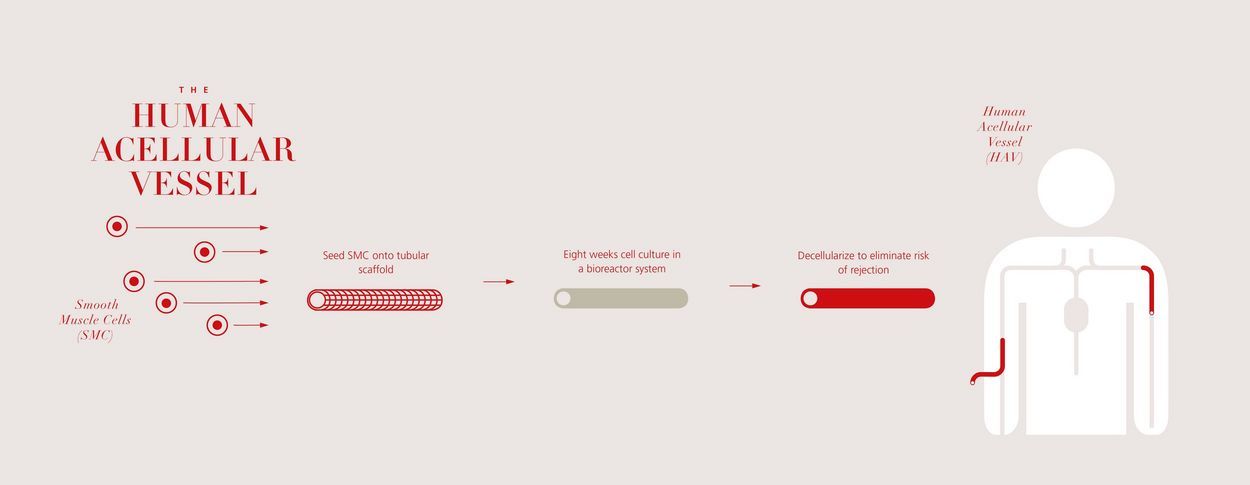 Fresenius Medical Care - Fresenius Medical Care